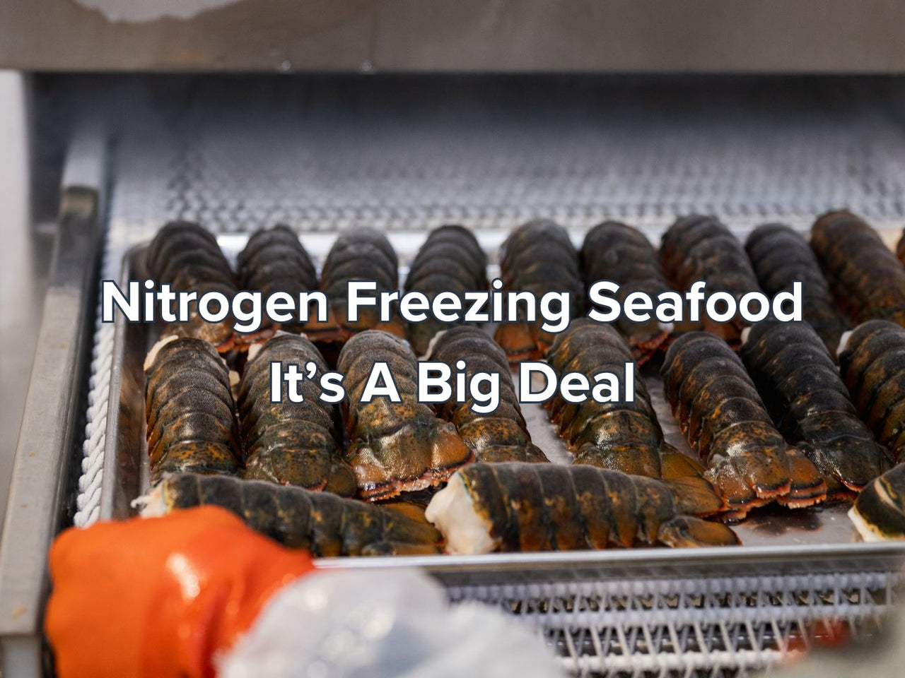 Nitrogen Freezing Seafood - An In Depth Analysis