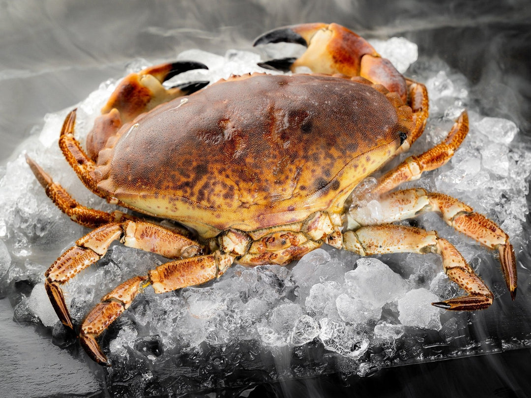 The Ultimate Florida Stone Crab Buying Guide: Sustainability ...