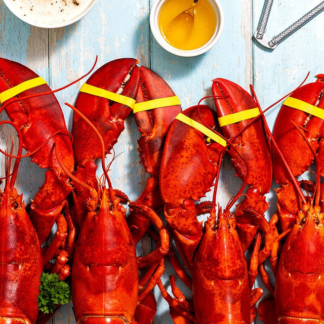Learn How to Cook Live Lobsters at Home | Maine Lobster Now