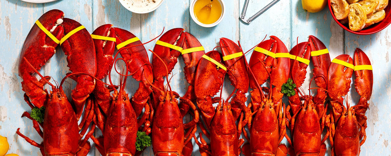 Live Lobster For Sale Online | Free Overnight Shipping