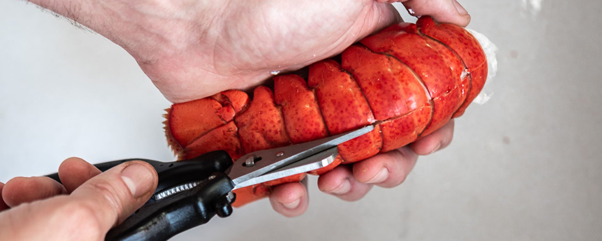Seafood & Lobster Eating Supplies For Sale