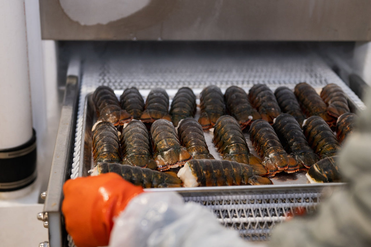 3-4 oz. Maine Lobster Tail Bulk Pack - 5 lbs