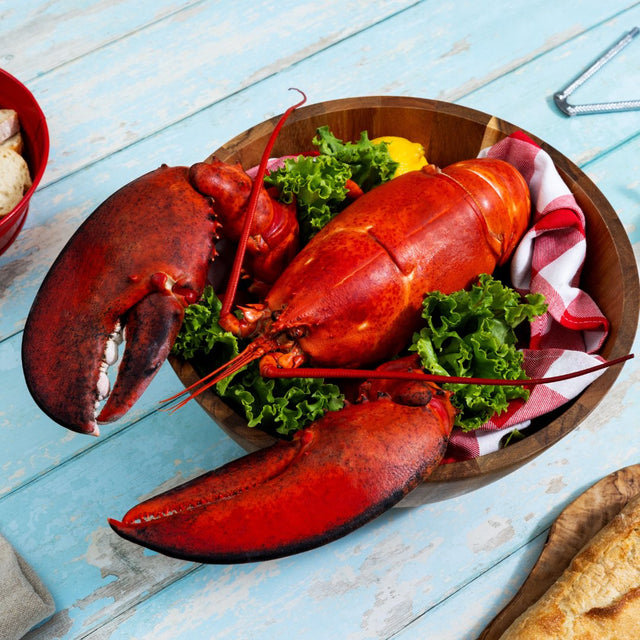 Jumbo 4-6 lb Giant Lobster from North Atlantic