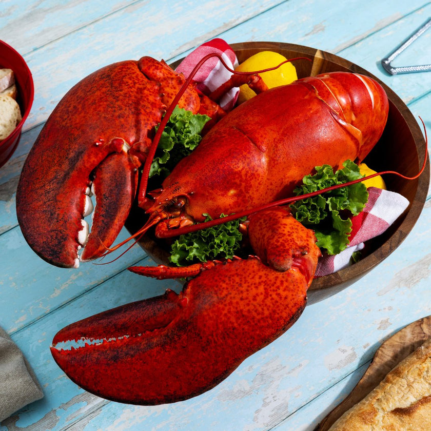 Get To Know The Parts Of A Maine Lobster
