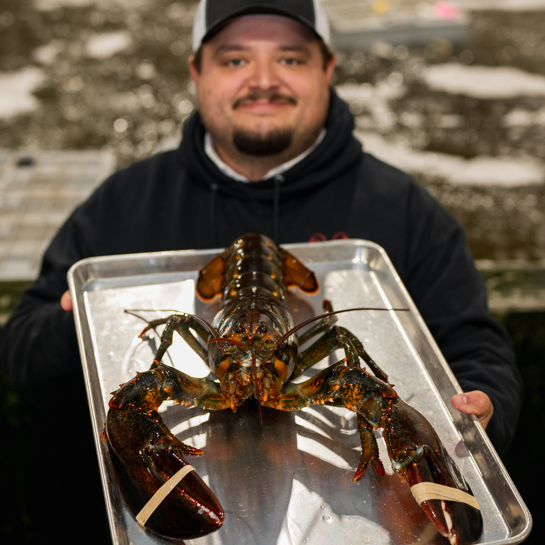 Wholesale Live Lobster & Lobster Meat