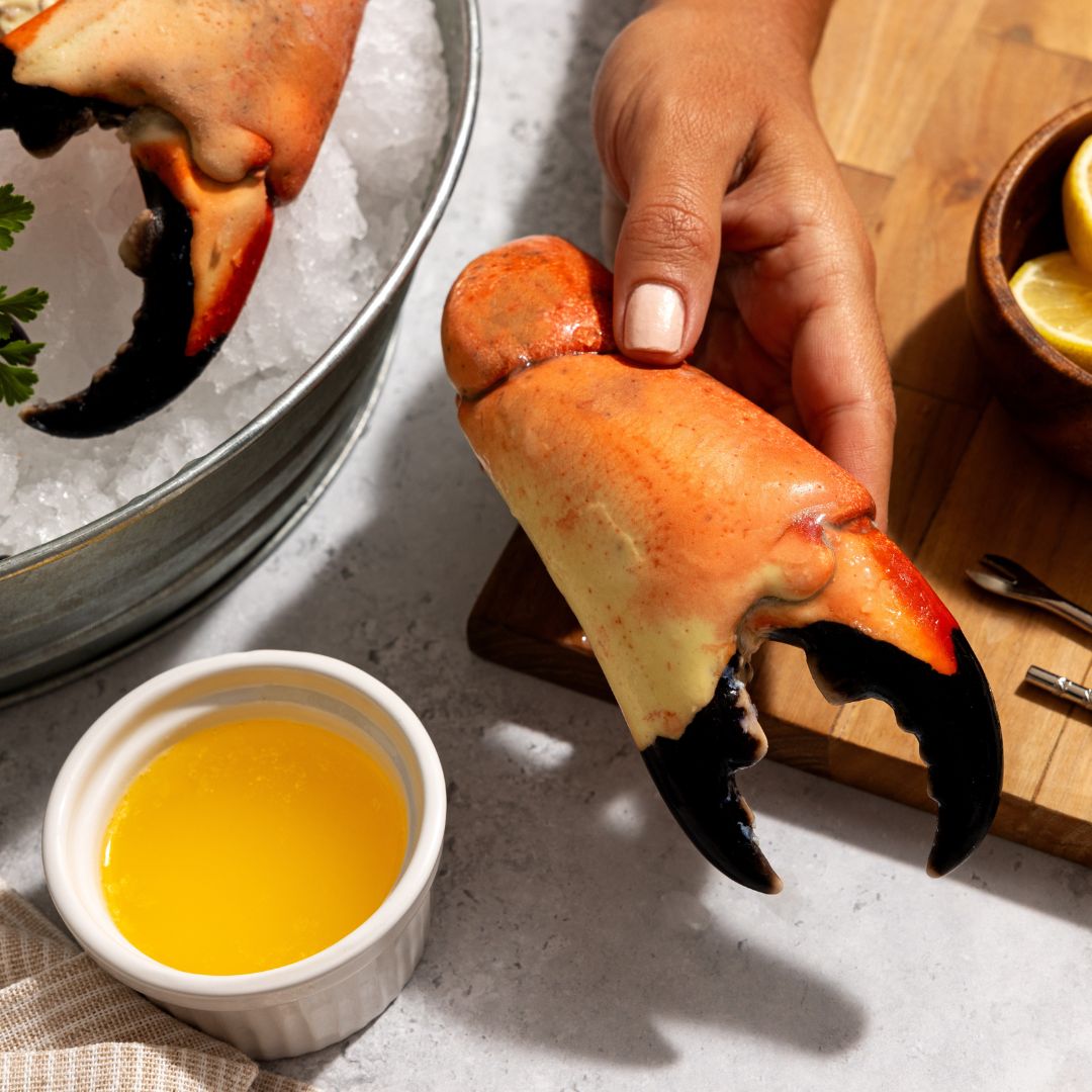 Stone Crab Claws For Sale | Wild-Caught & Sustainably Sourced