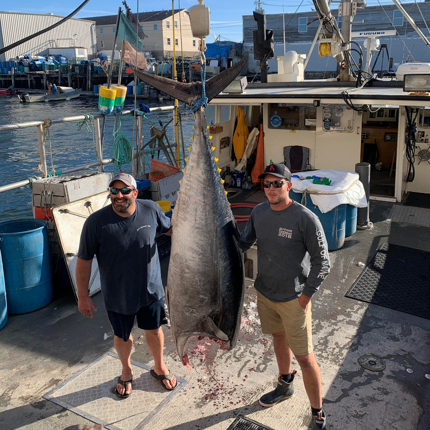 Get To Know The Parts Of A Maine Lobster