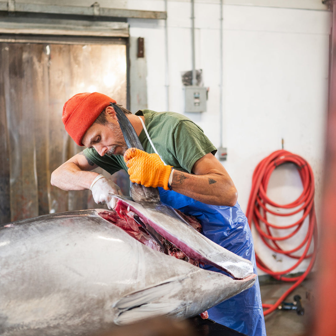 Order Fresh Maine Bluefin Tuna Online - Free Overnight Shipping