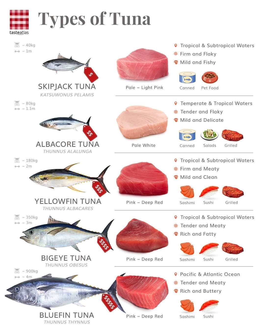 Order Fresh Maine Bluefin Tuna Online - Free Overnight Shipping