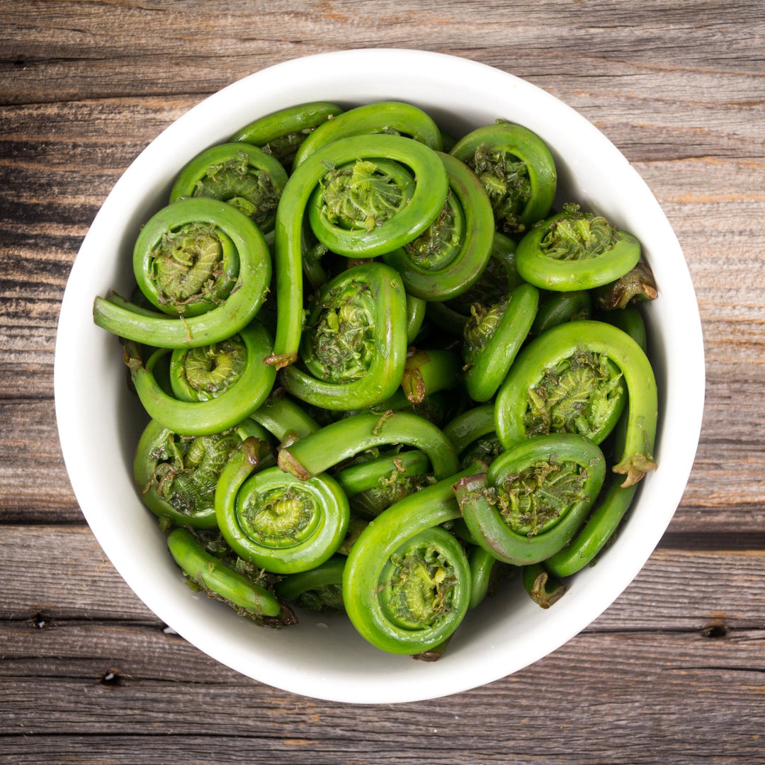 Fresh Maine Fiddleheads For Sale | Shipped From Maine