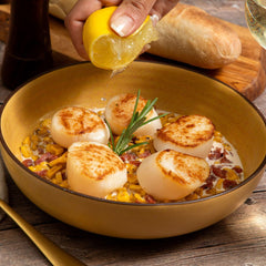 Maine Scallop Season 2024 – Dates, Regulations, and Tips