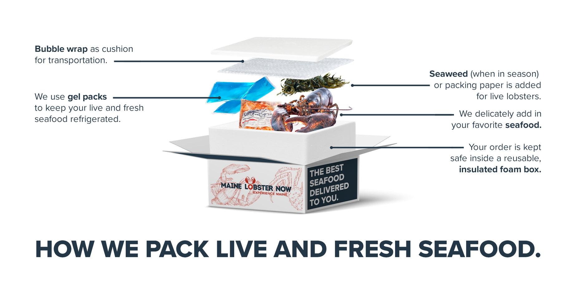 10 lb - 15 lb Live North Atlantic Lobster Online – Maine Lobster Now