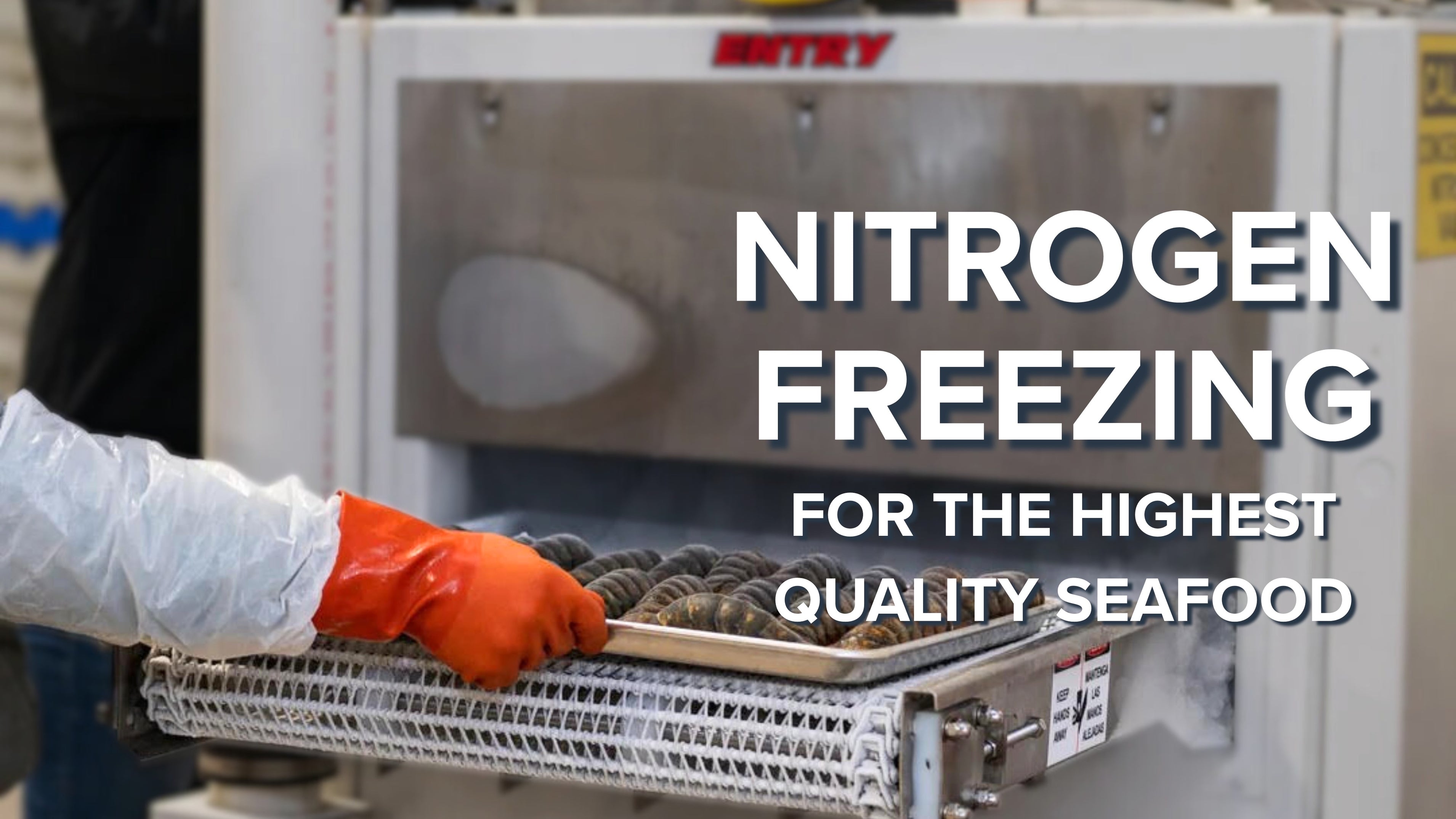 Broken Discounted Lobster Tails For Sale | Free Shipping