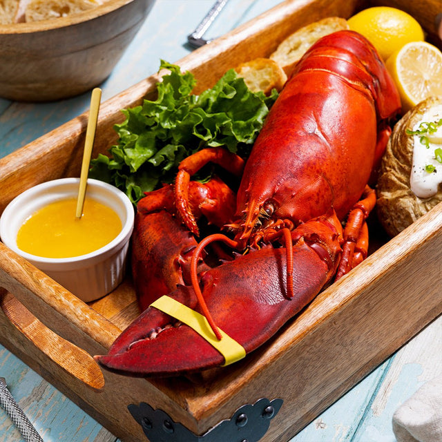 Fresh 2 lb Live Maine Lobster - Quality Seafood
