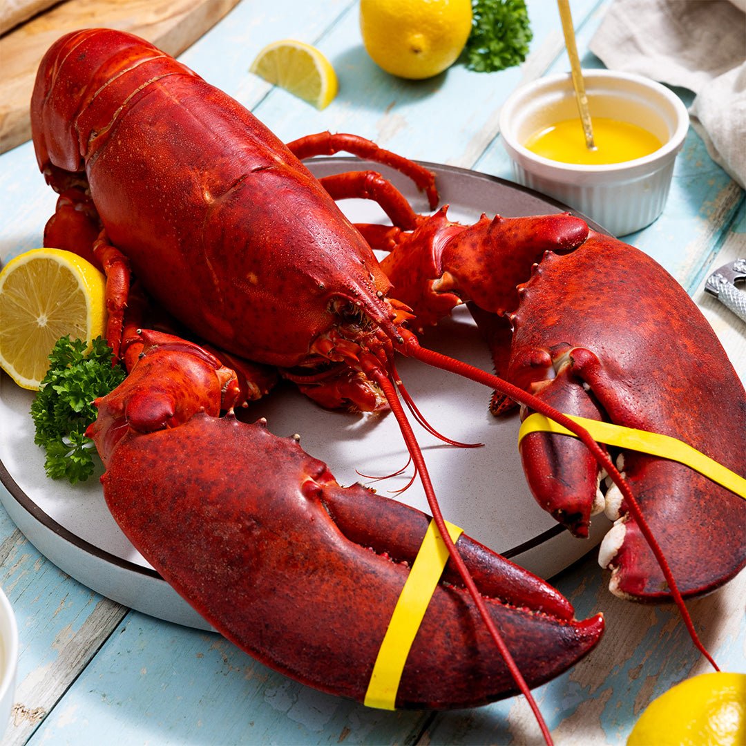 Learn How To Cook Live Lobsters At Home Maine Lobster Now Learn How To Cook Live Lobsters At Home Maine Lobster Now