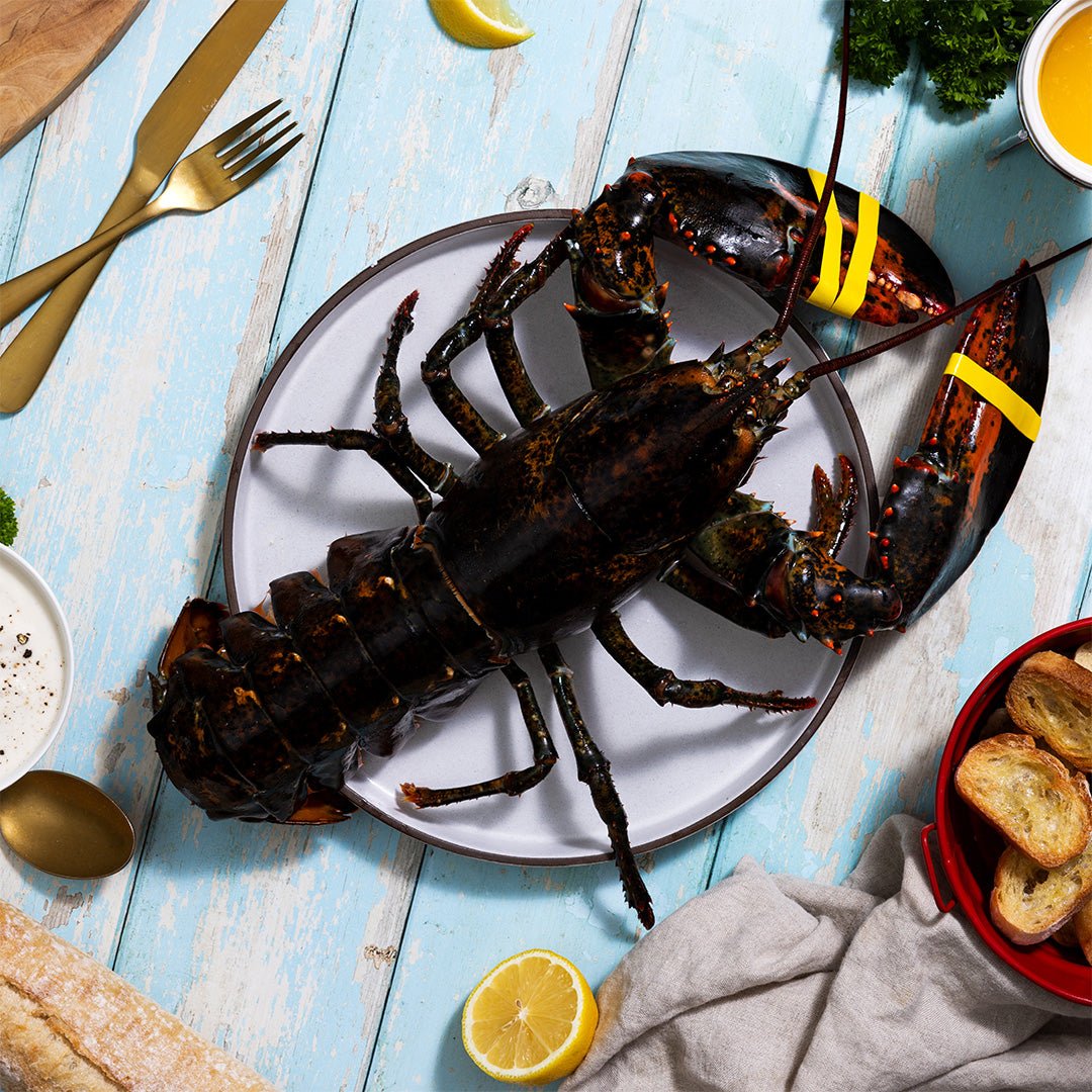 Buy 3 lb Live Maine Lobster - Fresh Seafood Delivered