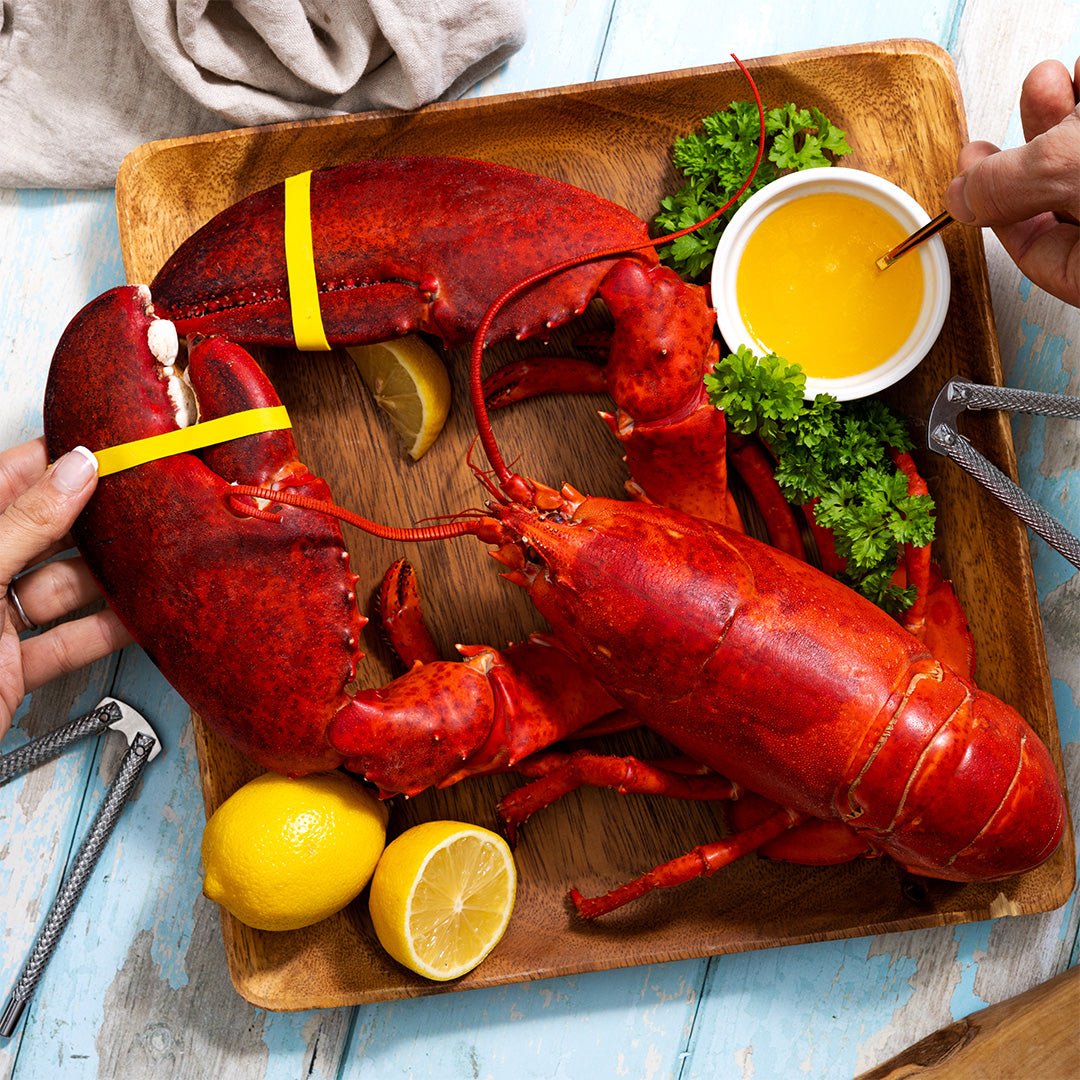 Buy 3 lb Live Maine Lobster - Fresh Seafood Delivered