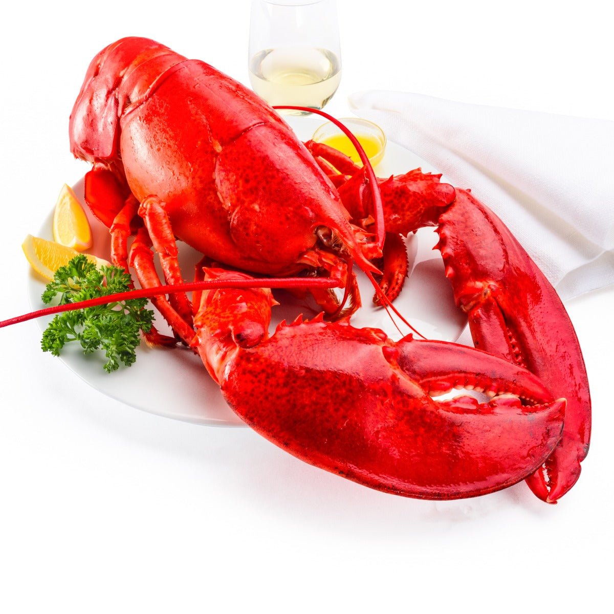 Jumbo 4-6 lb Giant Lobster from North Atlantic