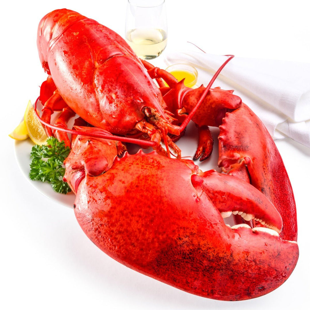 Live Lobster For Sale Online | Free Overnight Shipping