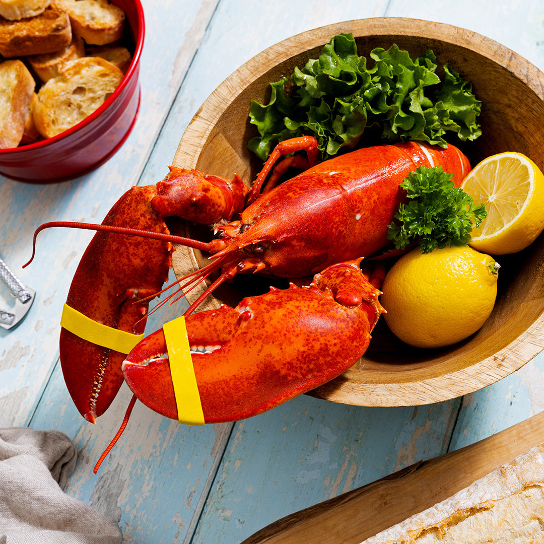 Fresh Cheap Live Lobster | Order Online Now