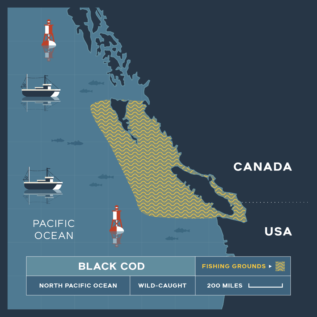 Black Cod (Sablefish) For Sale Online | Free Overnight Shipping