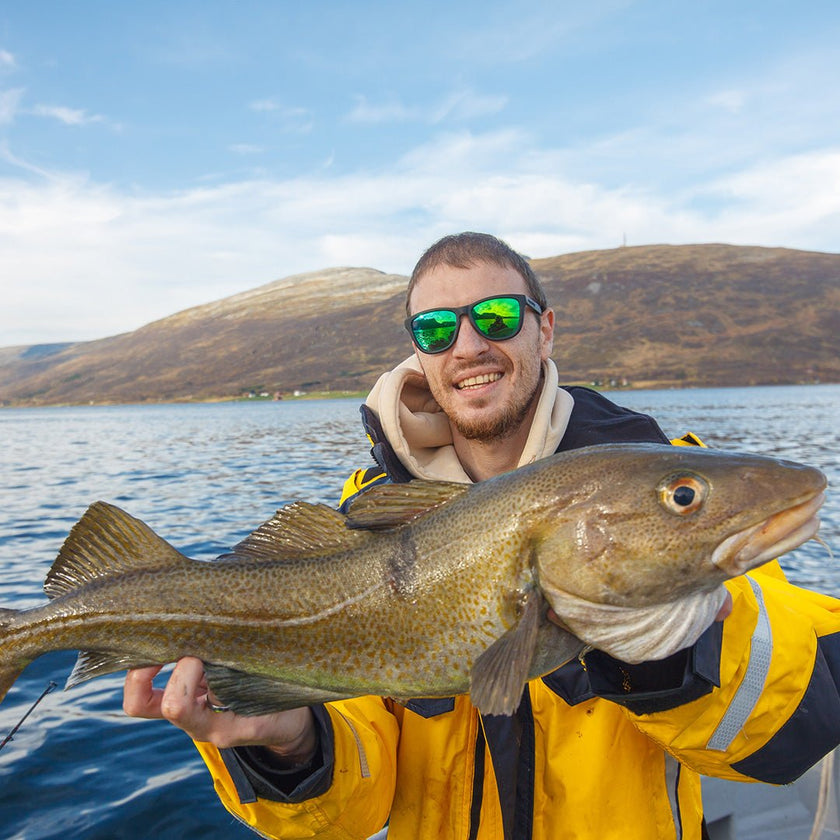 Icelandic Cod for Sale Online | Atlantic Cod Fillets